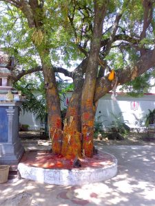 Koyambedu Sri Vaikundavasa Perumal Temple (Chennai)