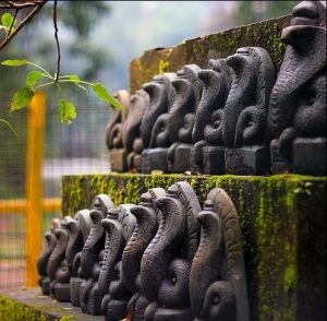 Nagas - The Snake Worshippers Were Revered in 26 Countries