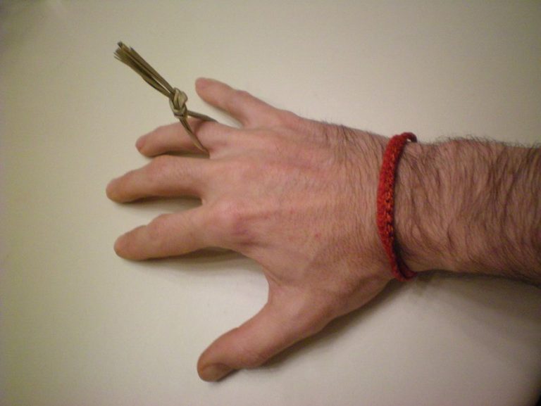 Significance of Dharba Grass in Puja